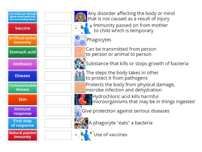 Microbes + The immune system - Associação