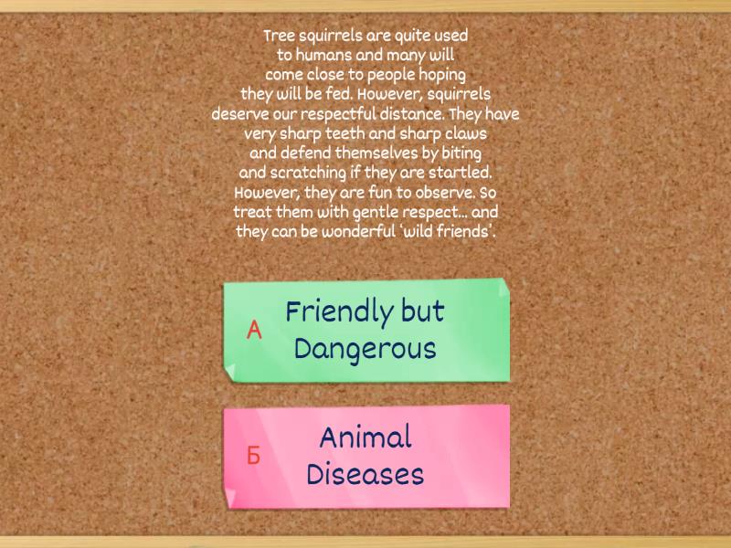 Squirrels Task 10 EGE - Quiz