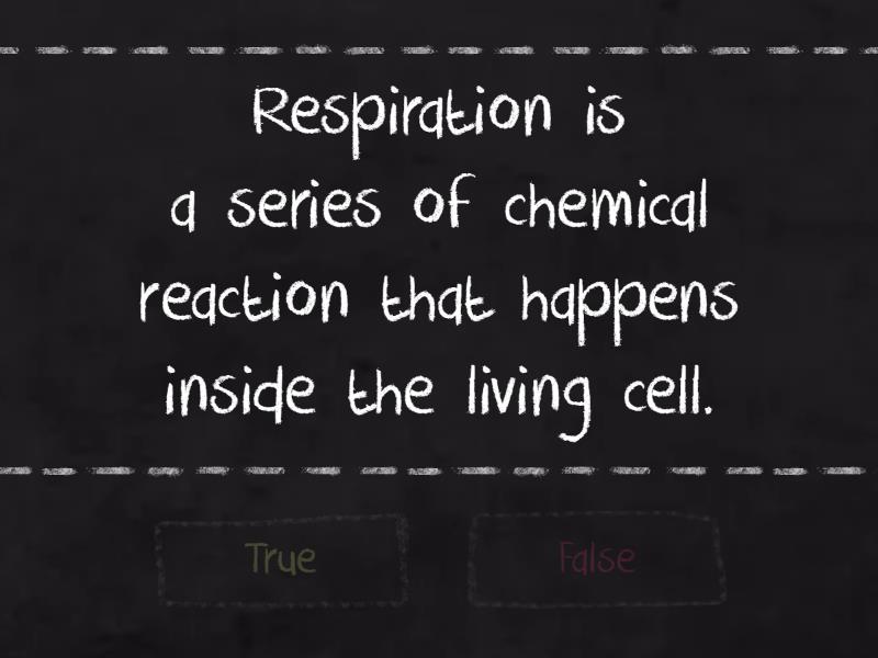 Respiratory System - True or false
