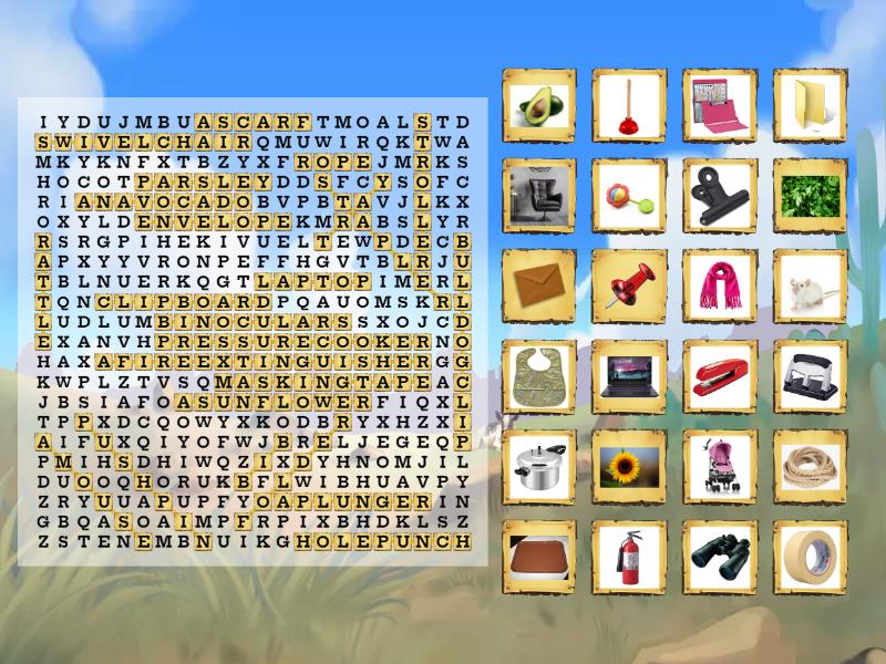 GENERAL VOCABULARY - Wordsearch