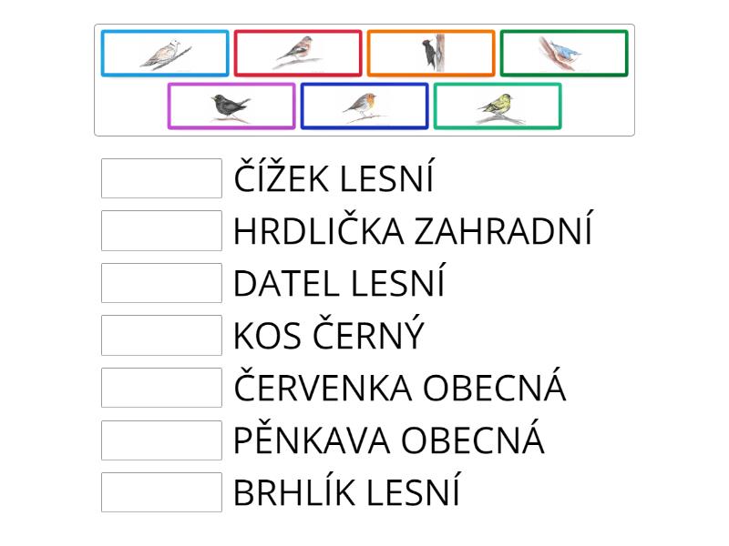 PTÁCI - Match up