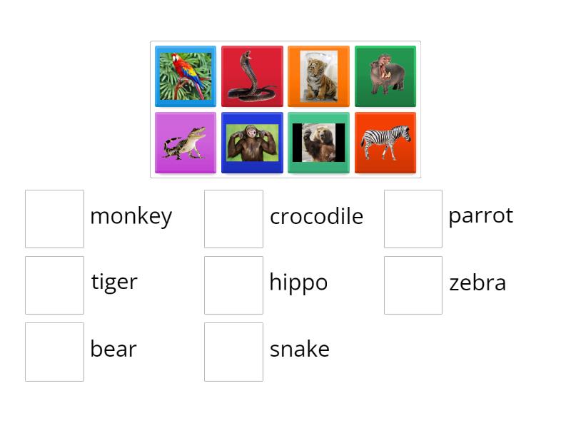 WILD ANIMALS words - Match up