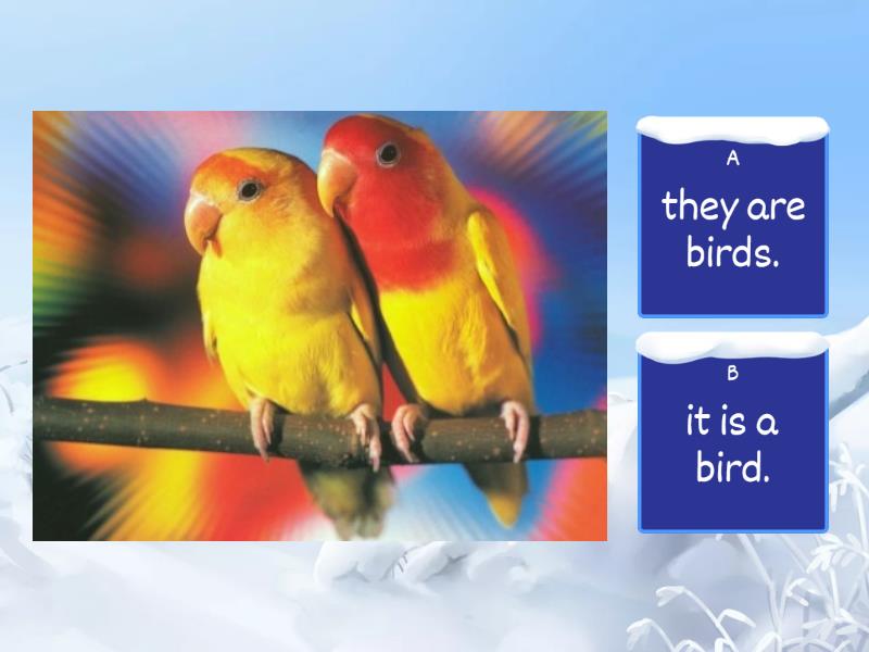 Ff Starter unit 6 - Quiz