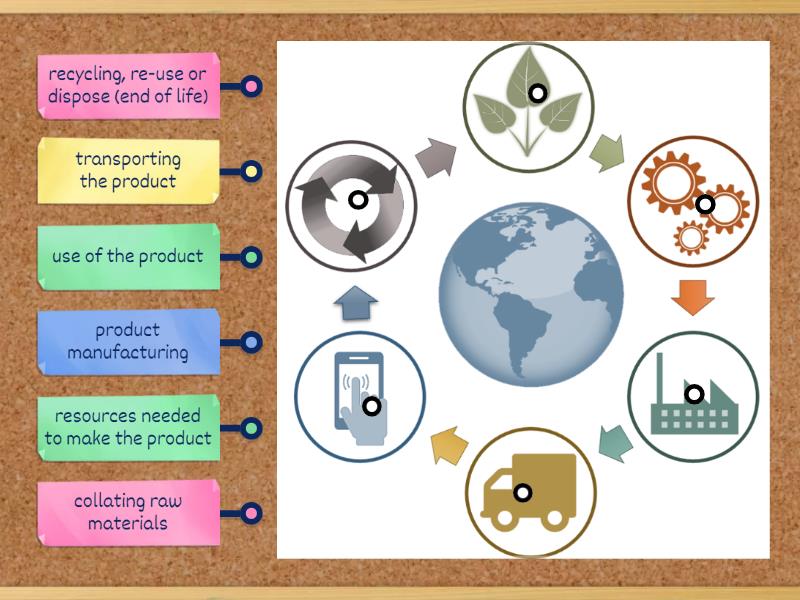 life cycle assessment diagram to label - Labelled diagram