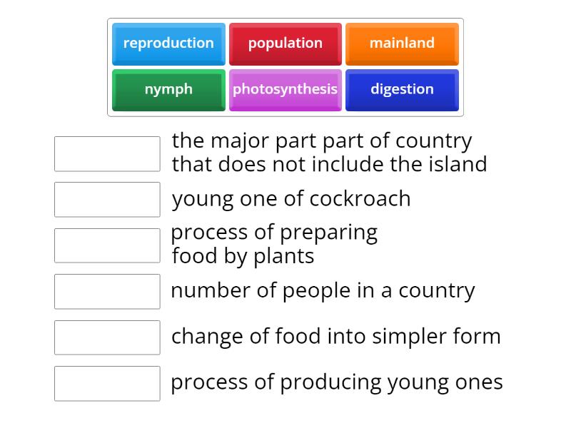 MATCH THE NEW TERMS - Match up