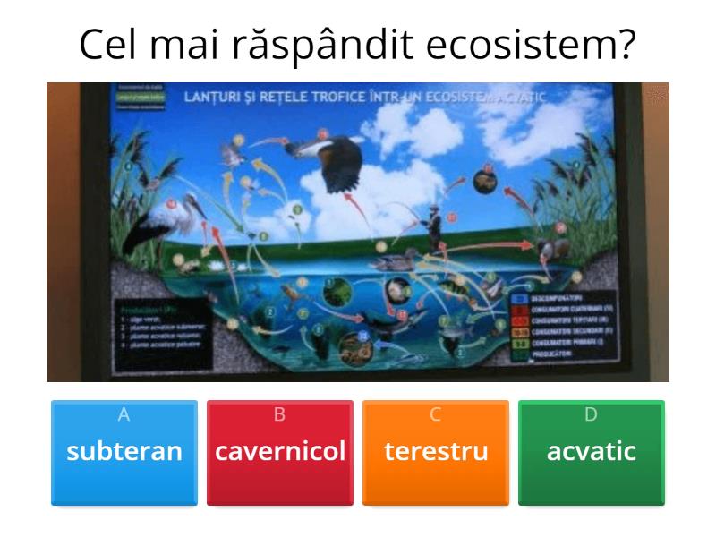 Ecosistem acvatic - Quiz