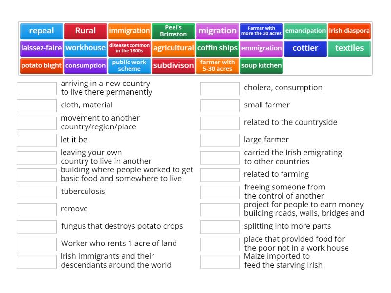 History: Ireland in the 1800s - Match up