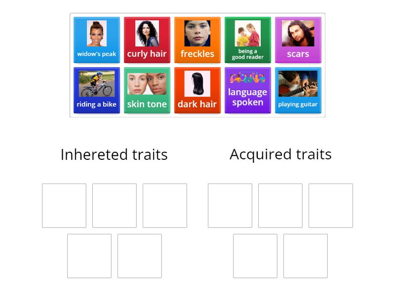 traits - Group sort