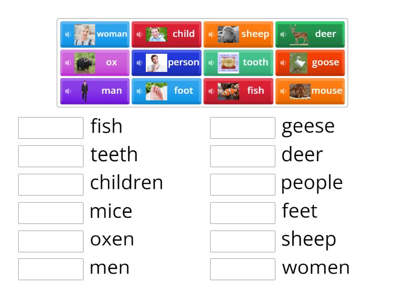 IRREGULAR PLURALS - Match up