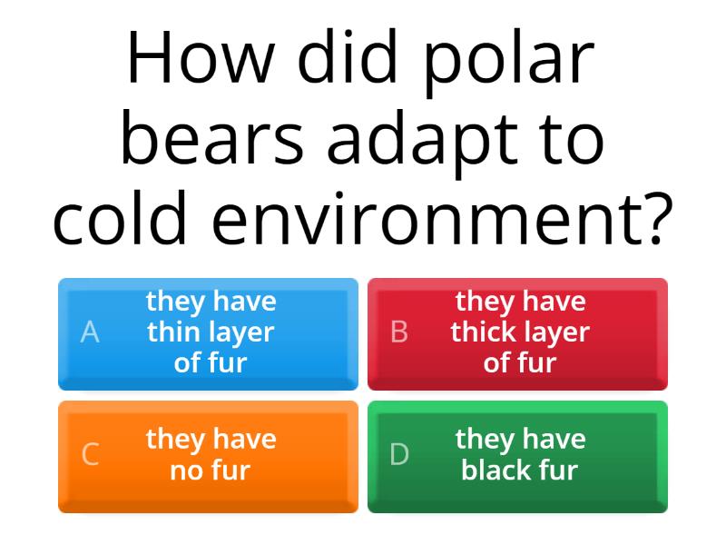 test adaptation - Quiz