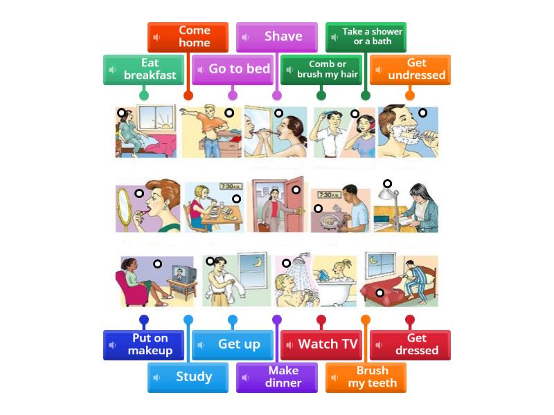 Marimba Academy - Daily routine - Labelled diagram
