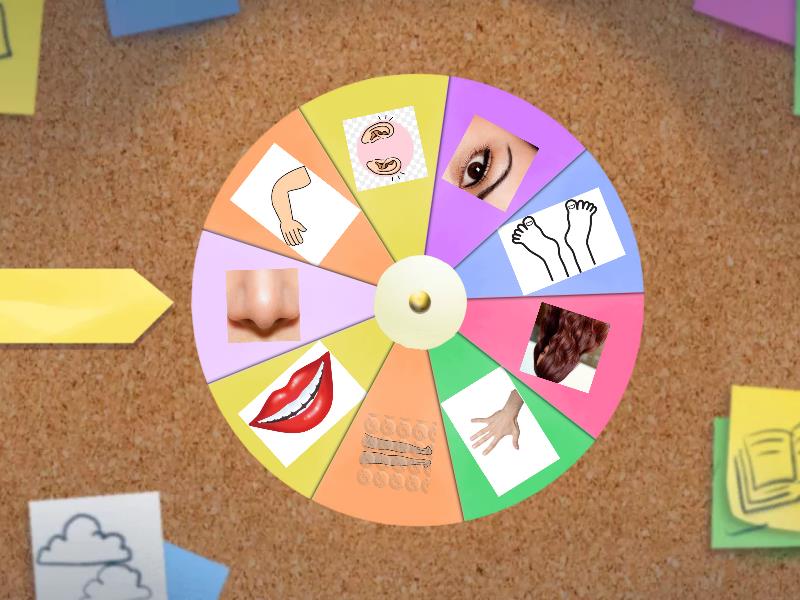 Body - Spin the wheel