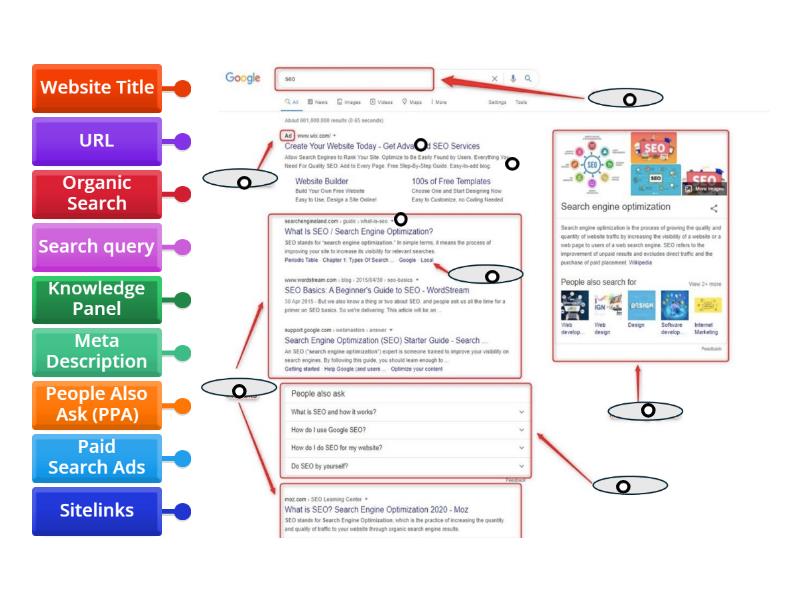SERP COMPONENTS - Labelled diagram