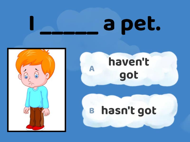 Haven't got/ Hasn't got - Quiz