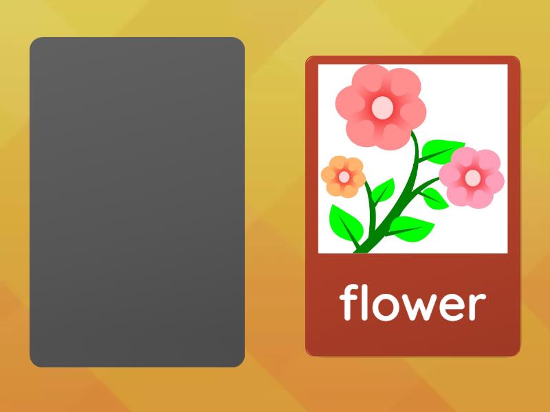 FF3 Unit 7. Phonics - Speaking cards