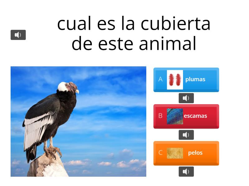 ven y aprende mucho mas ..que sabes de los animales: - Quiz
