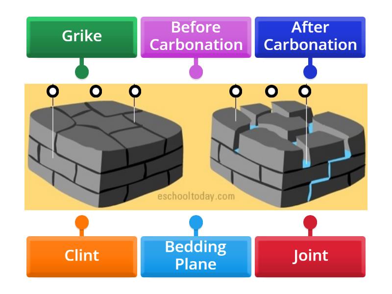 N5 Limestone Pavement - Labelled diagram