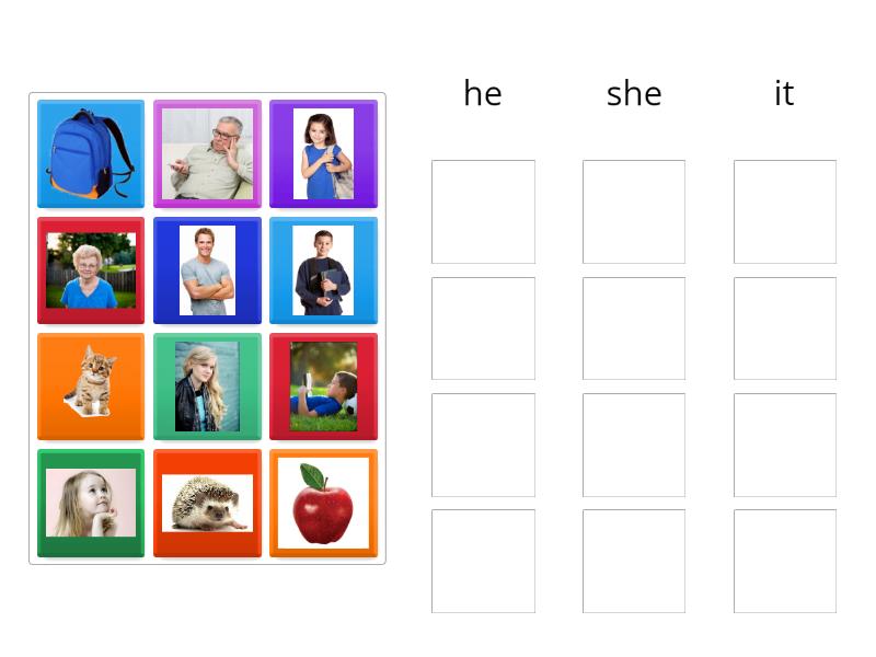 He, she or it? - Group sort