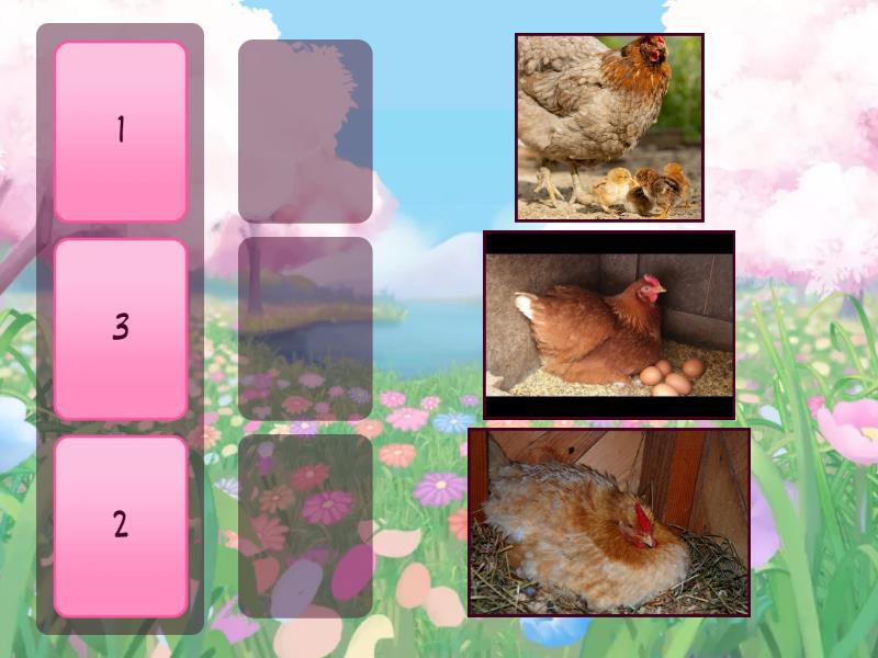 Secuencia Temporal - Match up