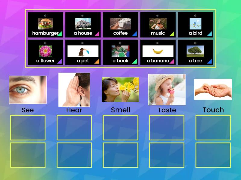 5 Senses Activity (For Elementary Level ESL Students) - Group sort