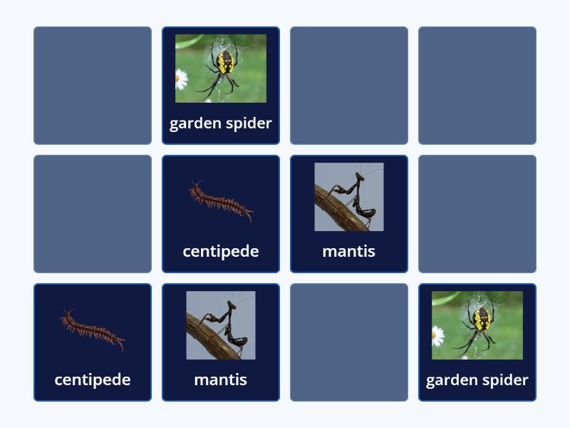 BUGs 4 - Matching pairs