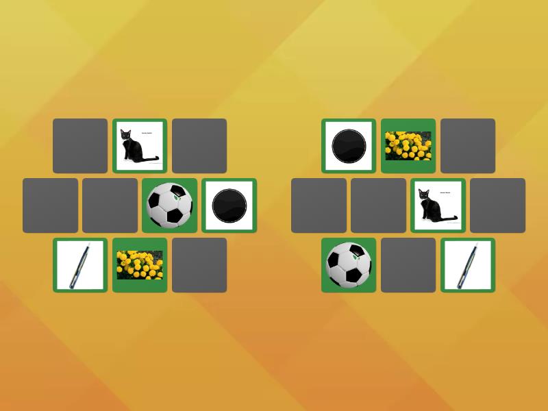 Match the pairs Class 1 - Matching pairs