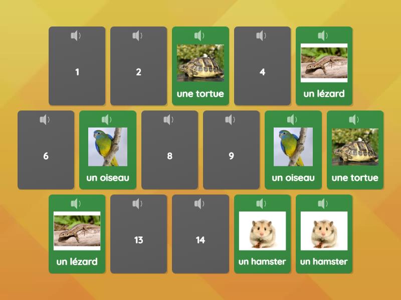 Les animaux de compagnie - Matching pairs