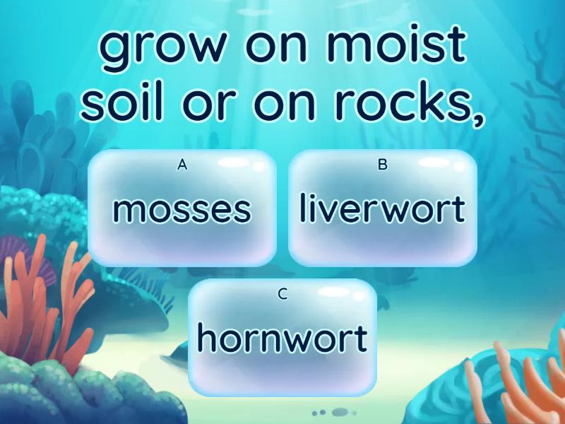 seedless plants - Cuestionario