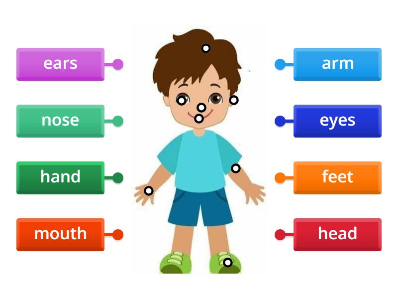 Grade 1_ my body - Labelled diagram