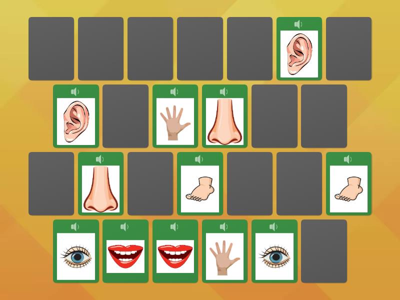 Parts of the body - Memory game - Matching pairs