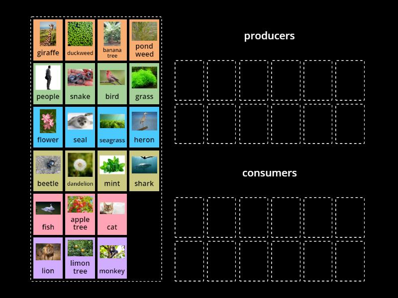 producers and consumers - Group sort