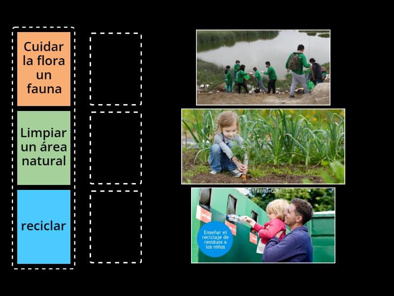 Medio ambiente - Match up