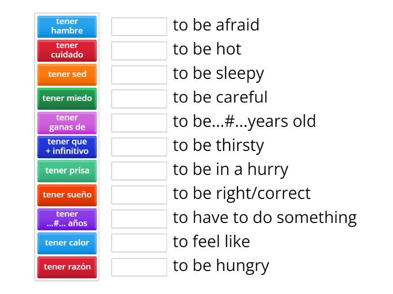 Expressions with TENER - Match up
