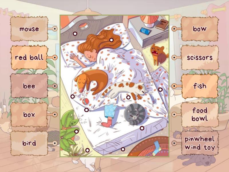 Nap Time! - Find hidden objects - Labelled diagram