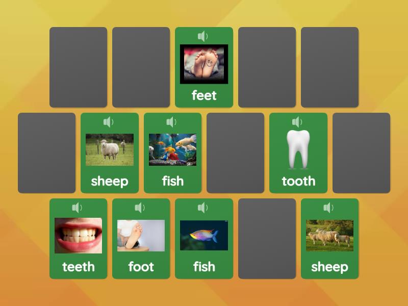 Irregular Plurals Spotlight 3 - Matching pairs