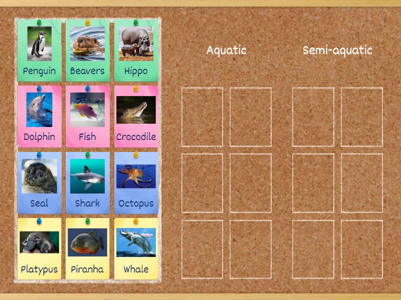 Aquatic animals - Group sort