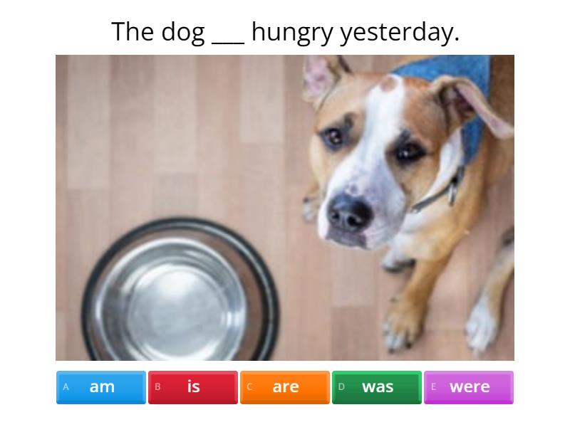 am/are/is/was/were - Quiz