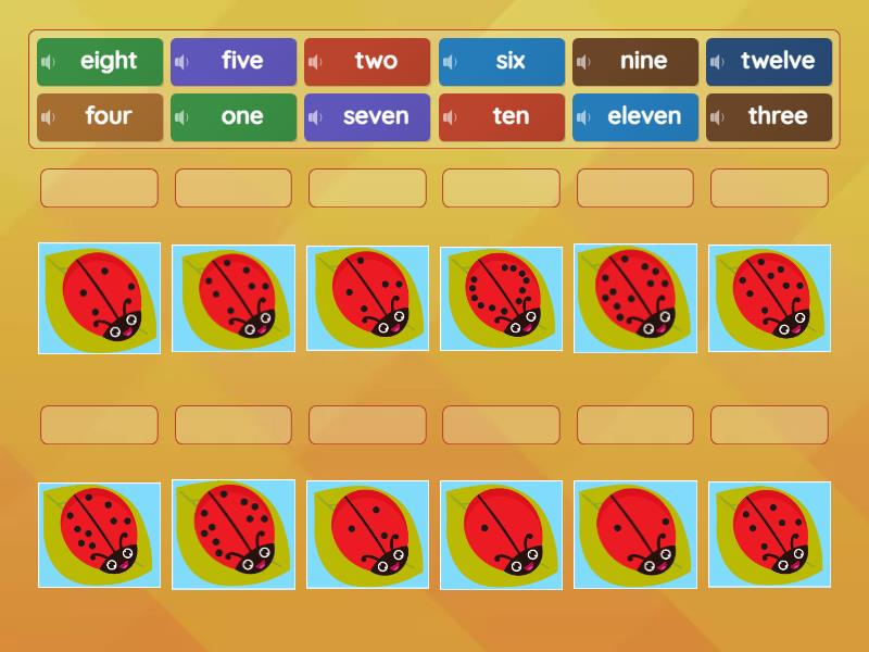 Numbers with bugs 1-12 - Match up