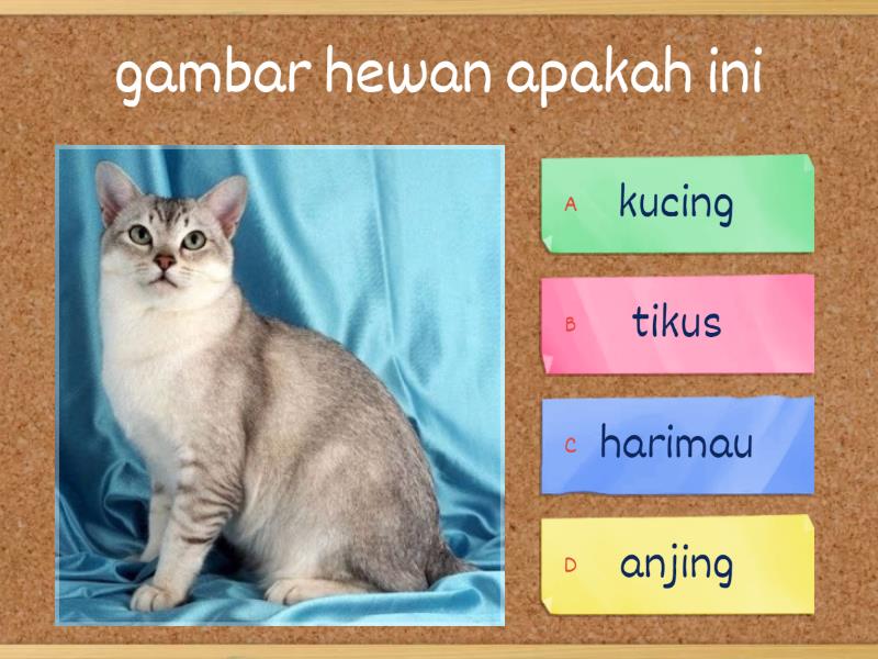 tebak gambar - Quiz