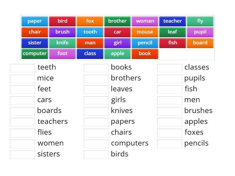 sigular / plural - Match up