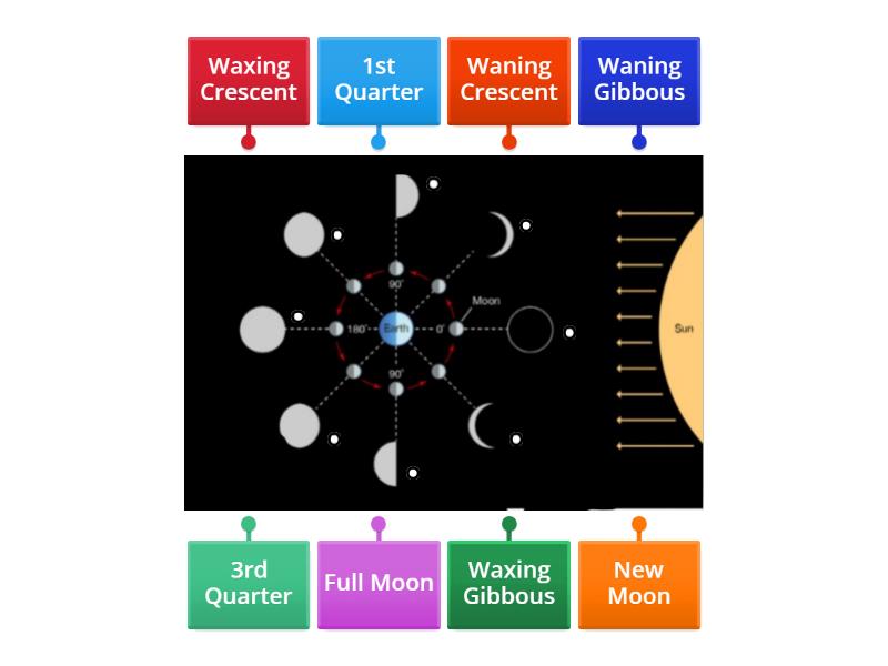 Grade 6 Moon Phases - Labelled diagram