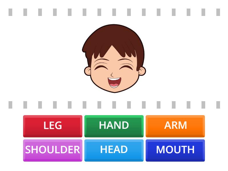 BODY PART - QUIZ - Find the match