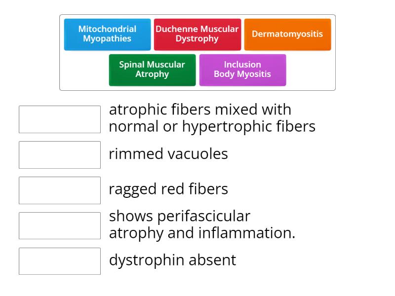 Muscle Wasting and Diffuse Athrophy - Une las parejas