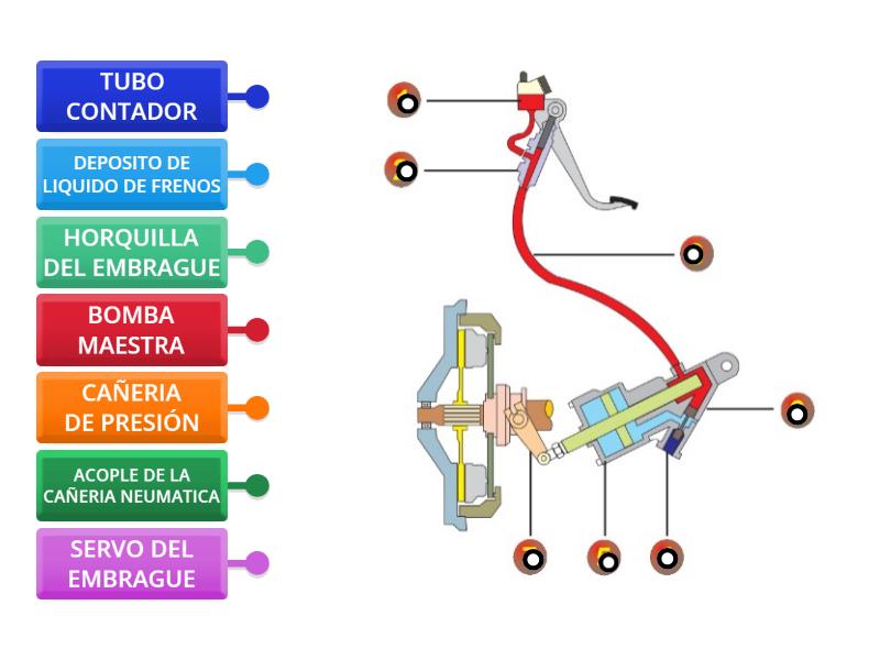 PARTES DEL EMBRAGUE HIDRONEUMATICO - Labelled diagram