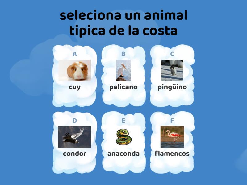 costa , sierra y selva - Quiz