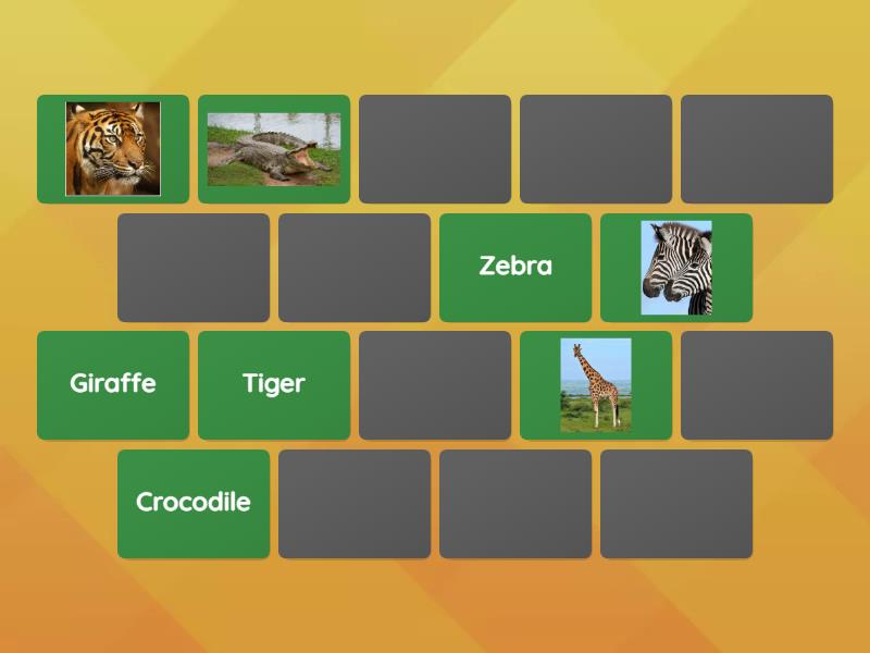 Matching WILD ANIMALS - Matching pairs