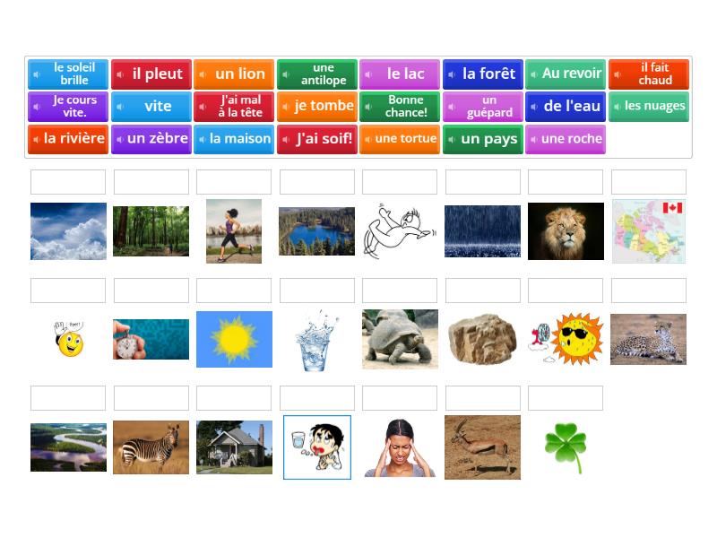 Arbre Ungali: le vocabulaire - Match up