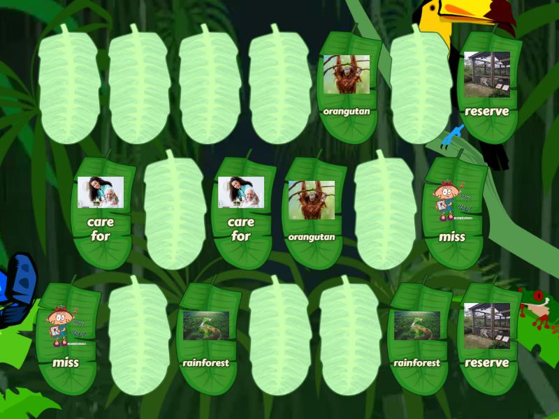 OD1 Unit 5 Lesson 1 - Matching pairs