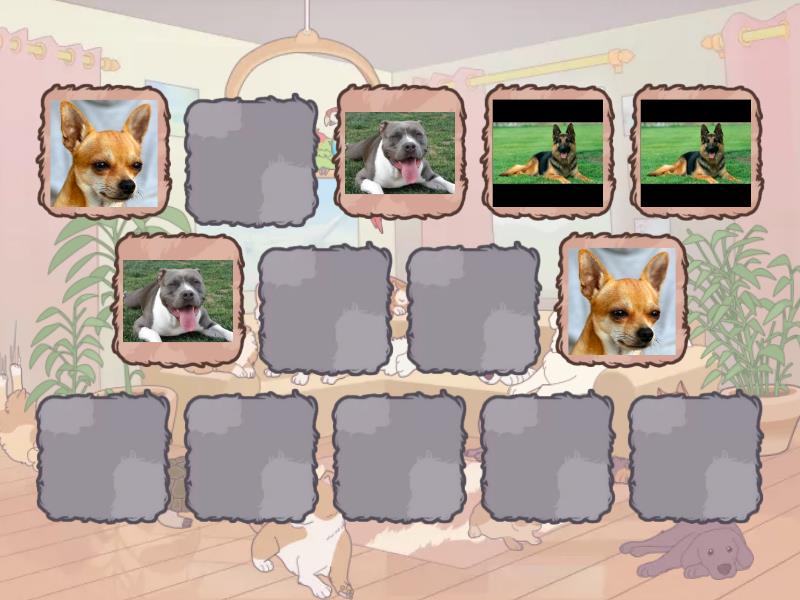 Dogs - Matching pairs