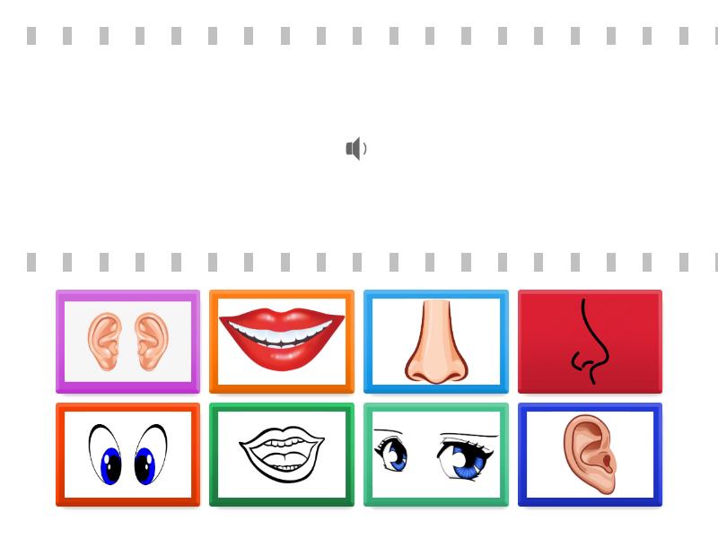 face parts game - Find the match